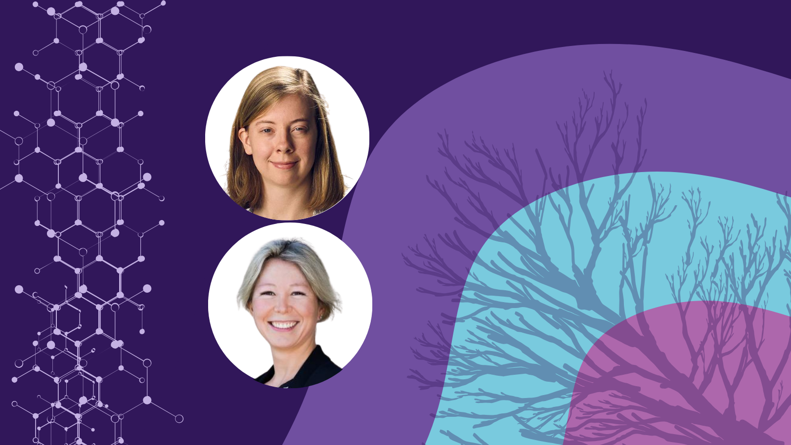 Brain Resilience Seminar: Julia Belk and Alina Isakova | Knight Initiative