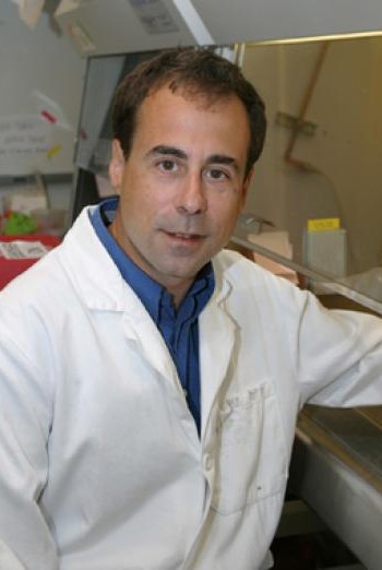 Mark A. Kay, M.D., Ph.D. | Knight Initiative